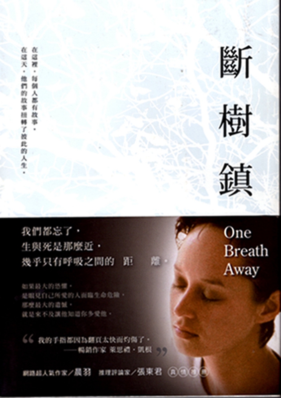 [13-4] 断树镇