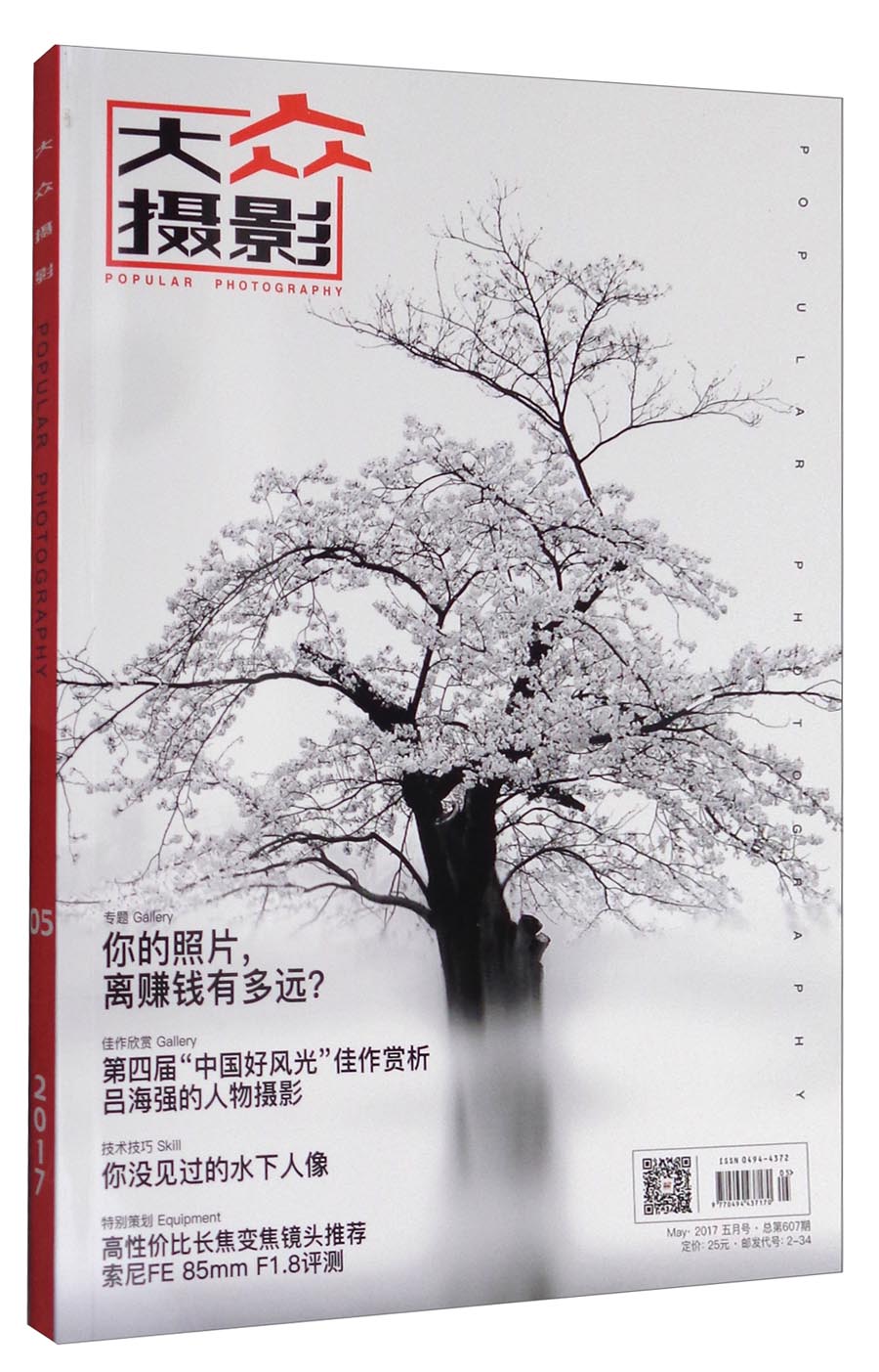 大众摄影（2017年5月号）