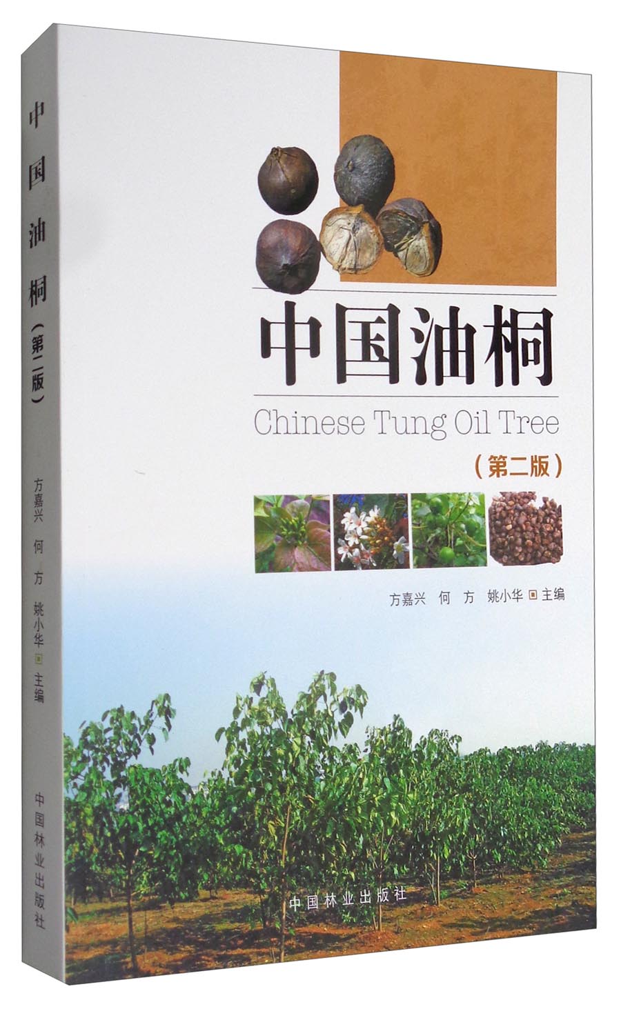 中国油桐9787503887987
