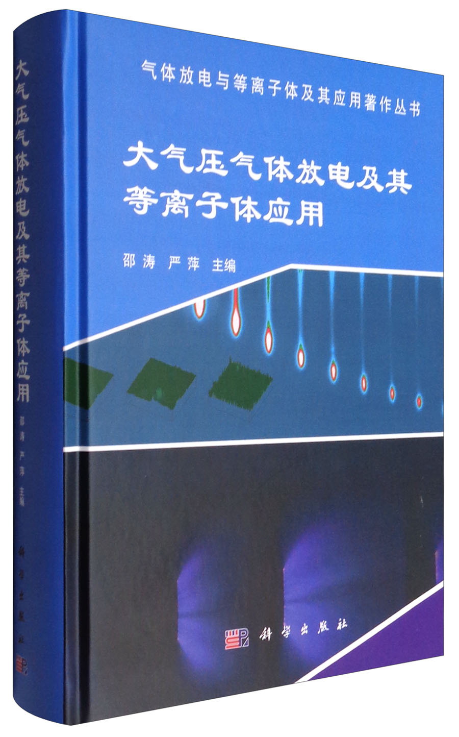 气体放电与等离子体及其应用著作丛书：大气压气体放电及其等离子体应用
