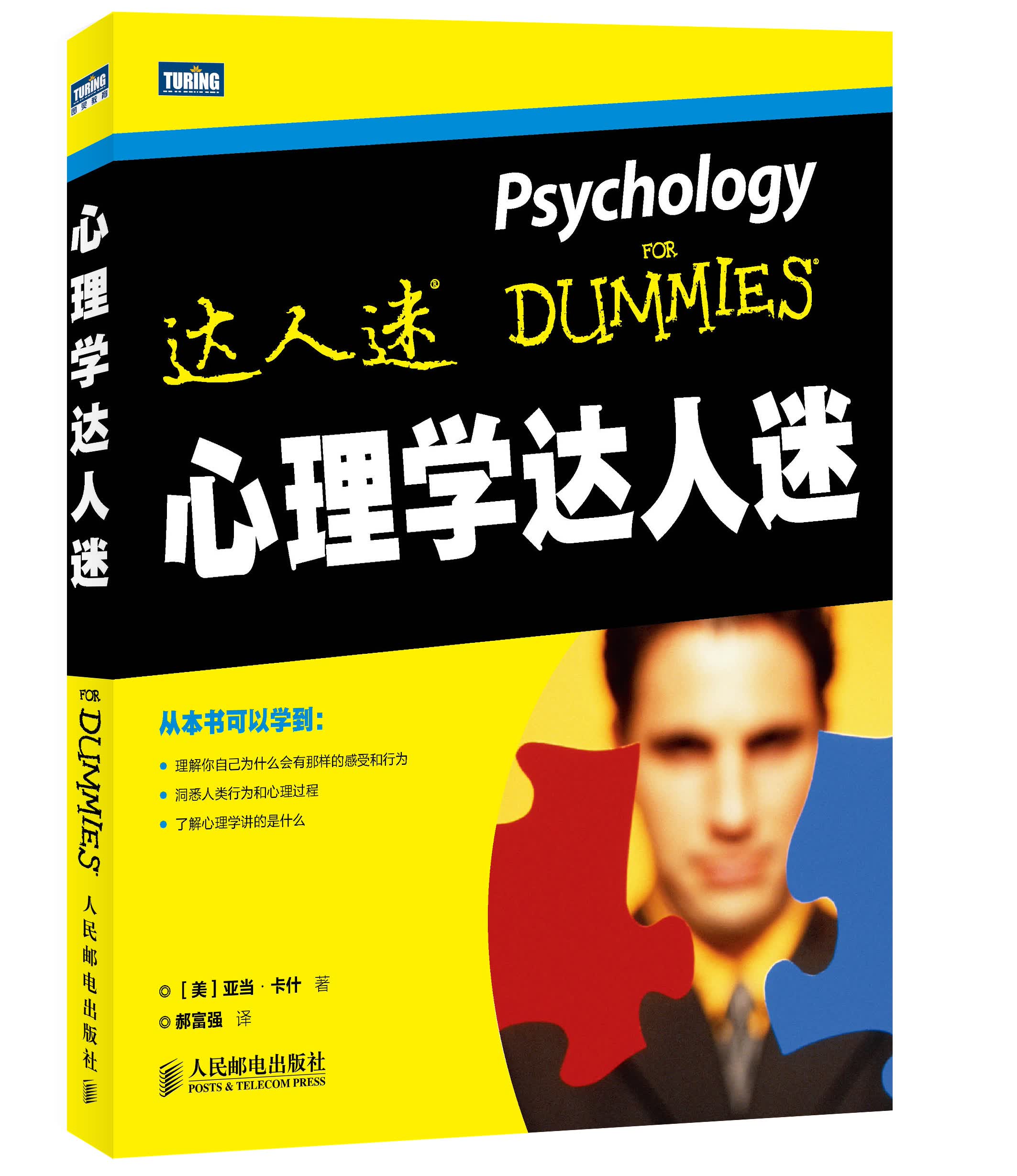 心理学达人迷(图灵出品)
