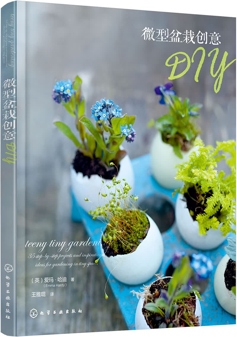 微型盆栽创意DIY