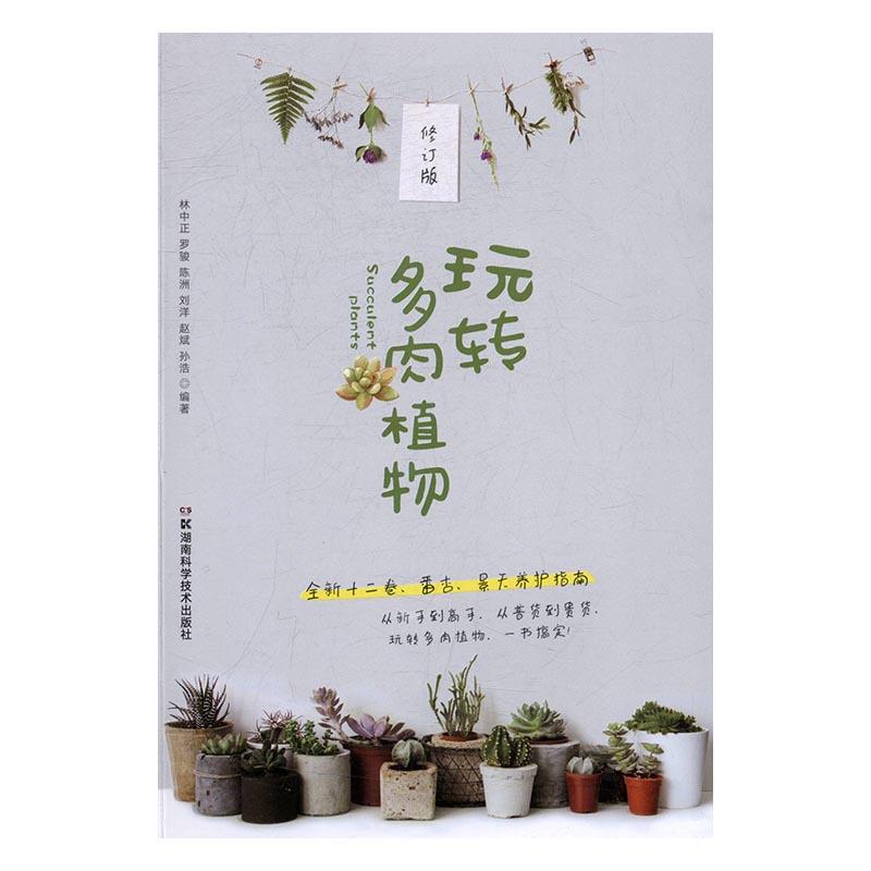 玩转多肉植物 书籍 家居 家庭园艺