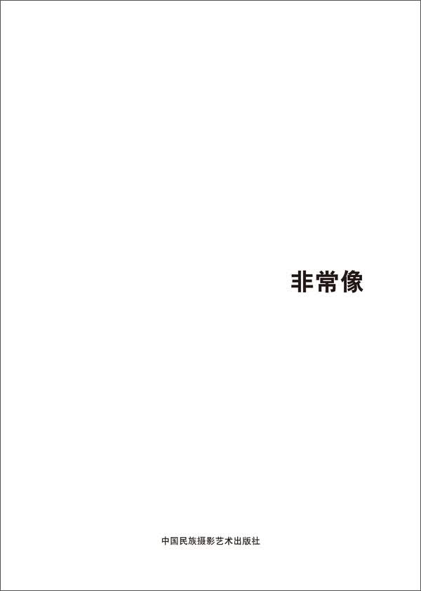 第五届中国济南国际摄影双年展学术成果：非常像