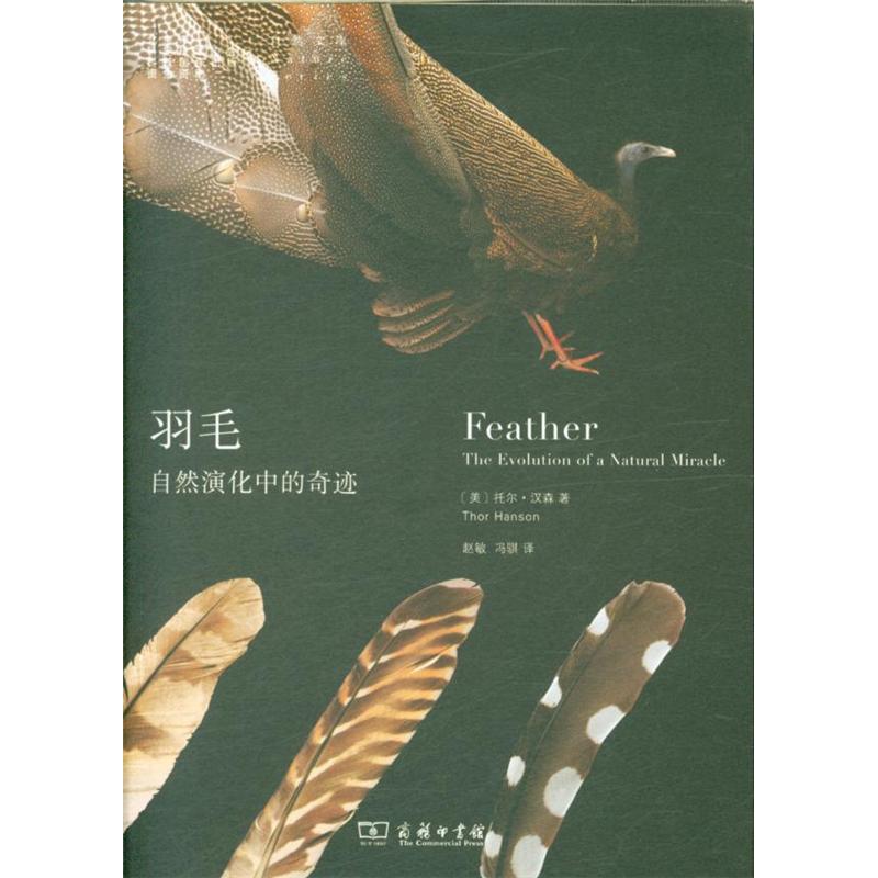 羽毛-自然演化中的奇迹