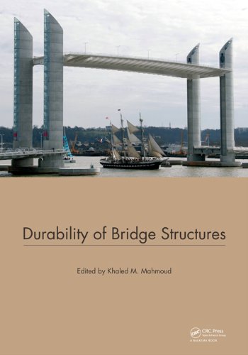 Durability of Bridge Structures: