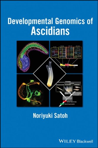 Developmental Genomics of