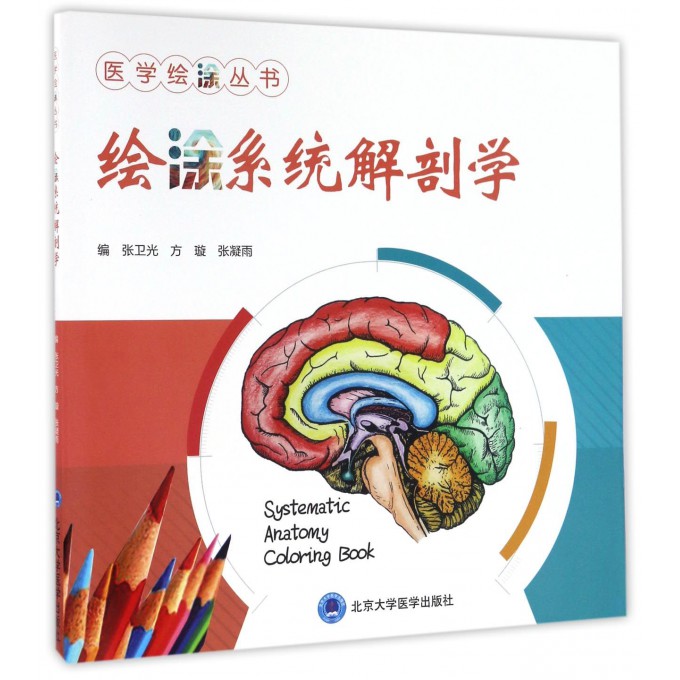 绘涂系统解剖学/医学绘涂丛书