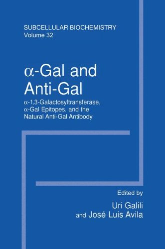 Gal and Anti Gal: 1,3