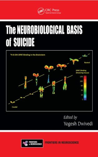 The Neurobiological Basis of
