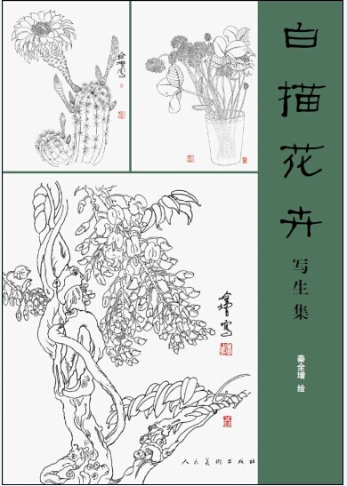 白描花卉写生集 书籍 绘画 国画赏析