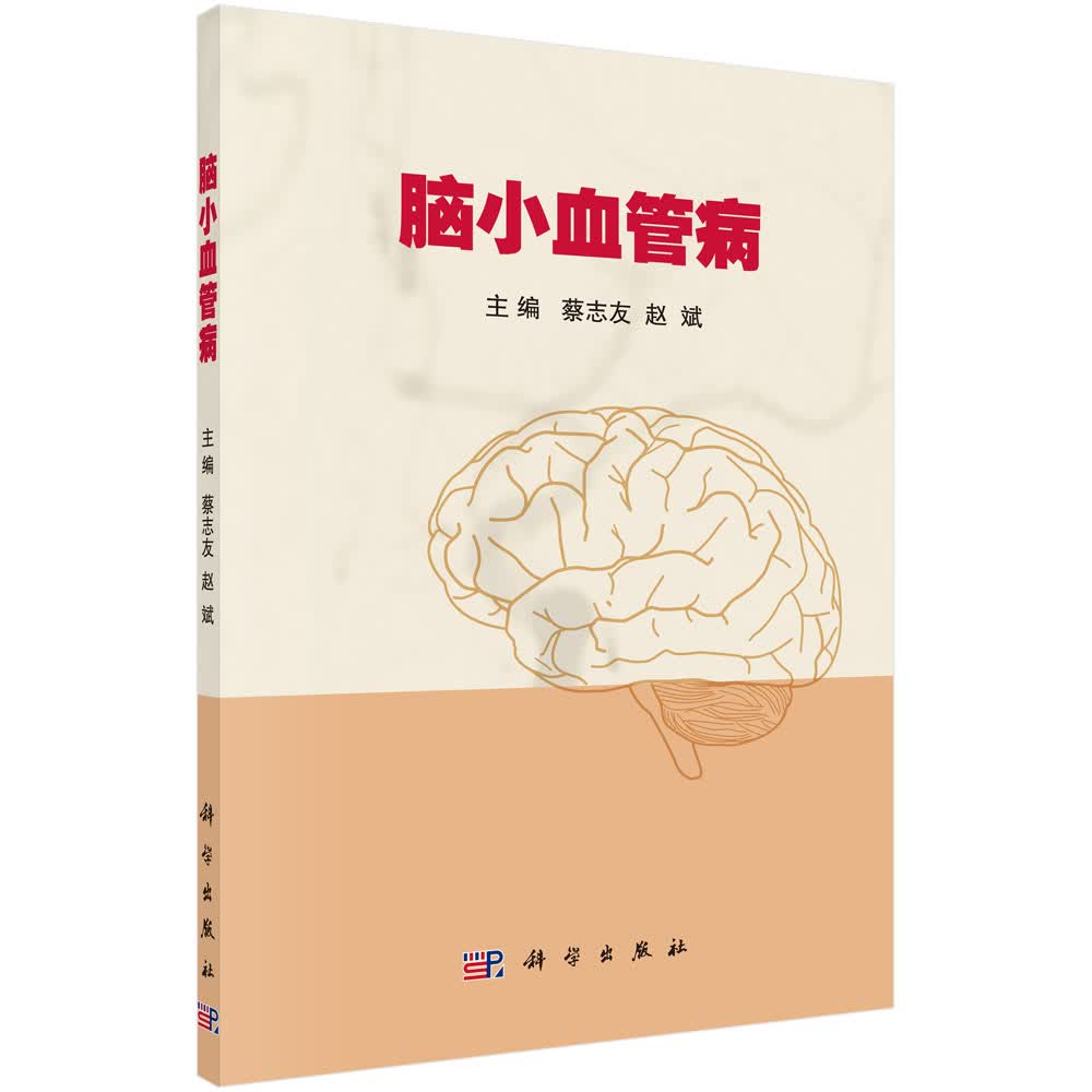 脑小血管病 科学 9787030522399