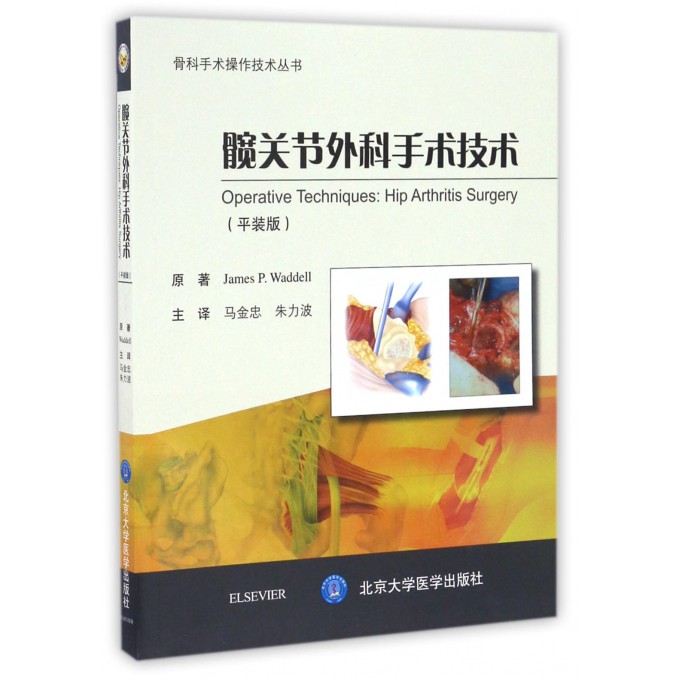 髋关节外科手术技术(平装版)/骨科手术操作技术丛书