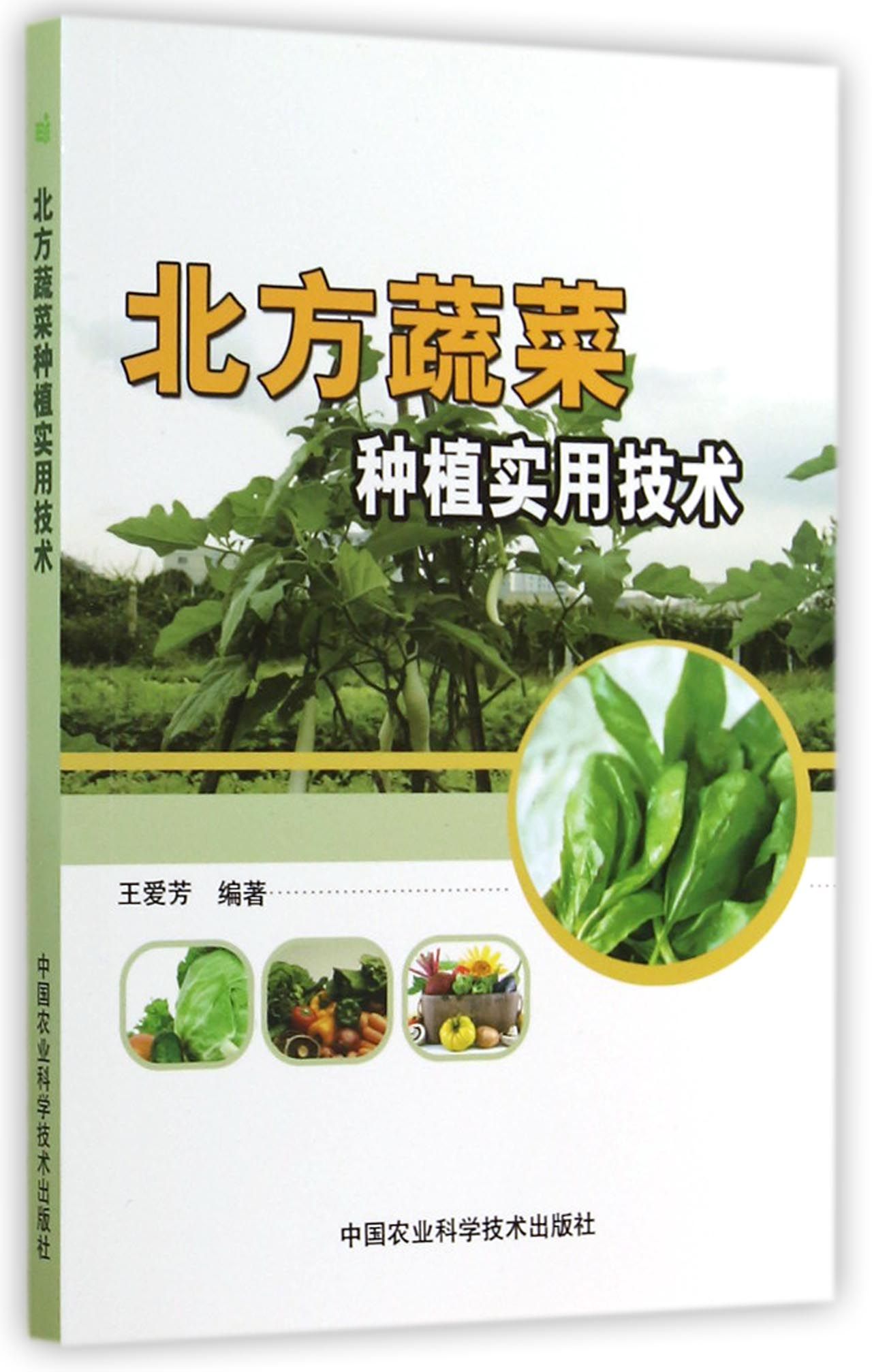 北方蔬菜种植实用技术