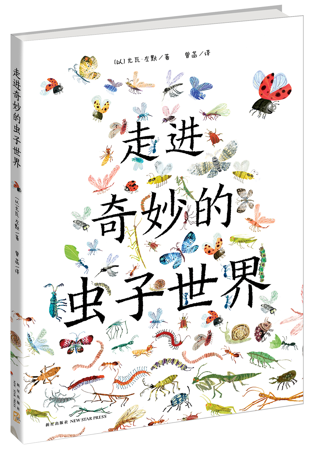 走进奇妙的虫子世界 （爱心树童书）