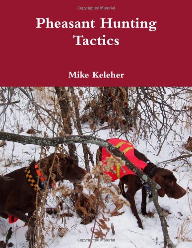 Pheasant Hunting Tactics