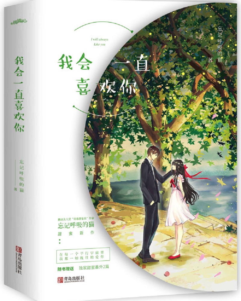 我会一直喜欢你（上下）