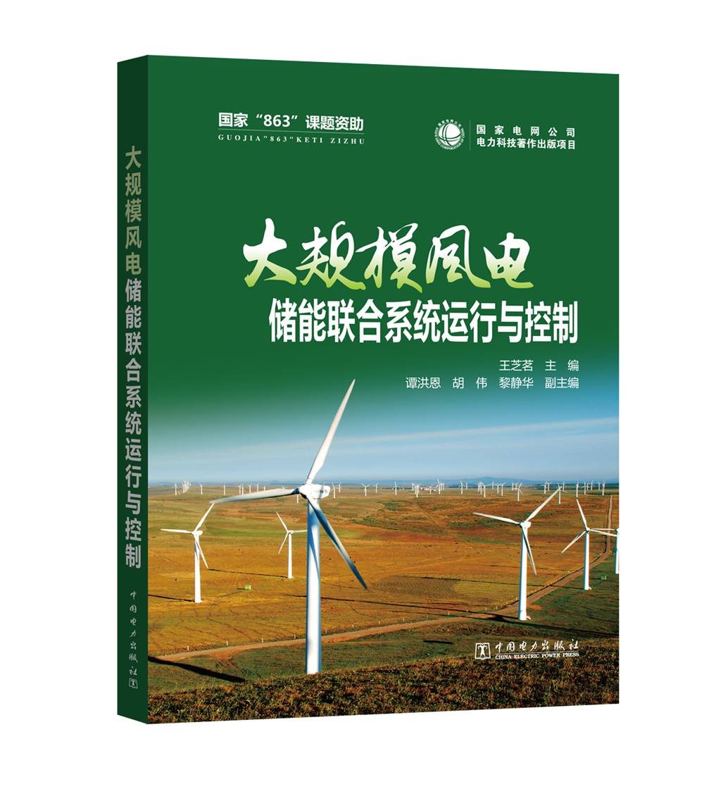大规模风电储能联合系统运行与控制