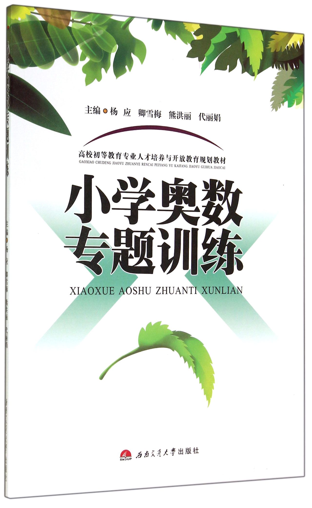 小学奥数专题训练/高校初等教育专业人才培养与开放教育规划教材