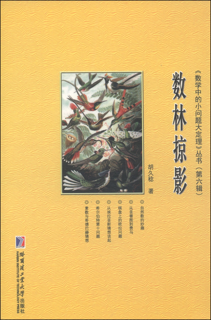 《数学中的小问题大定理》丛书（第六辑）：数林掠影