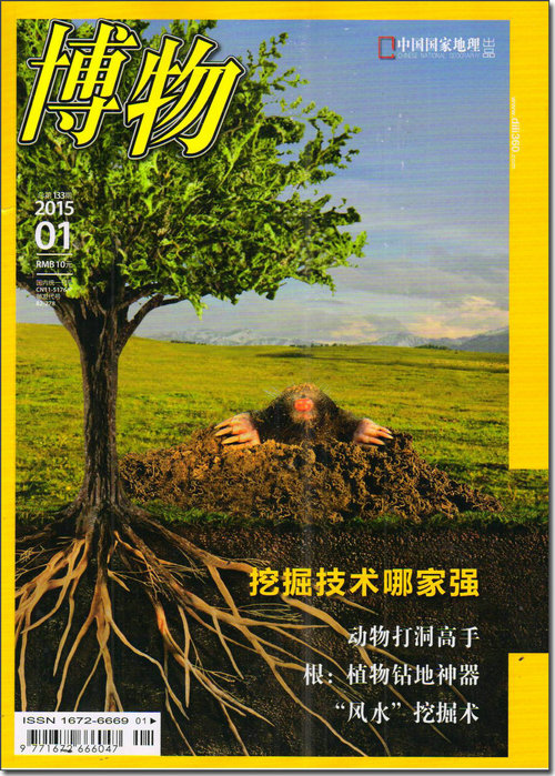 博物（2015年1月号）