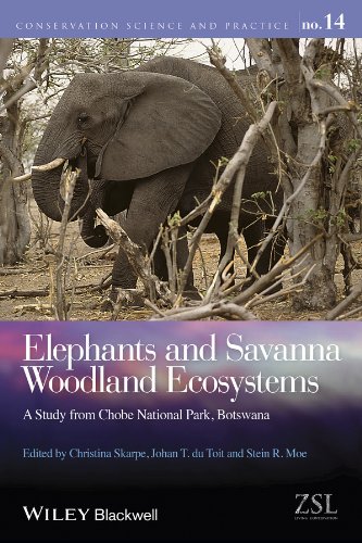 Elephants and Savanna Woodland