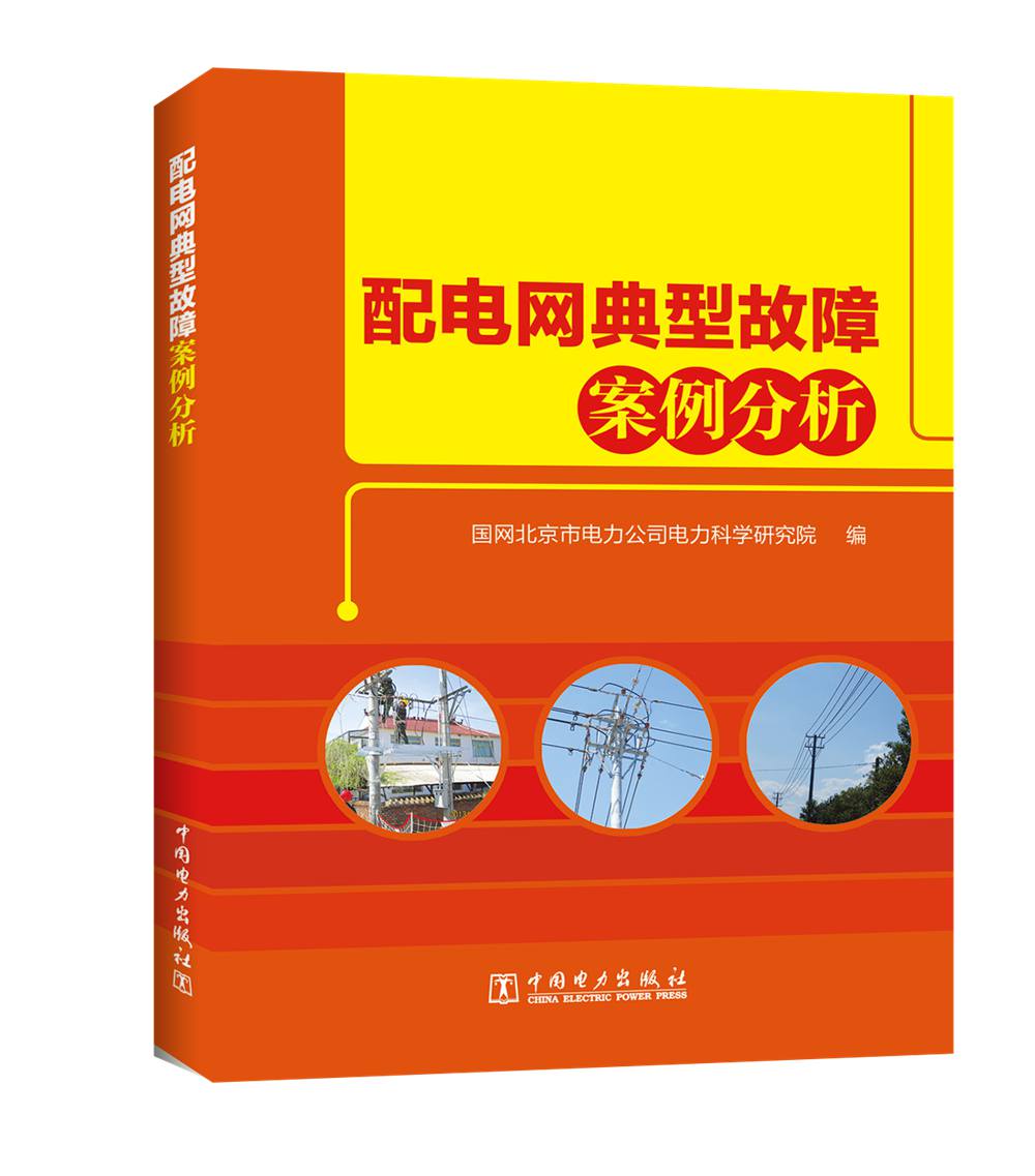 配电网典型故障案例分析 9787519802882