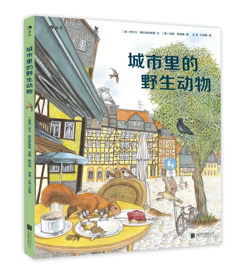 城市里的野生动物
