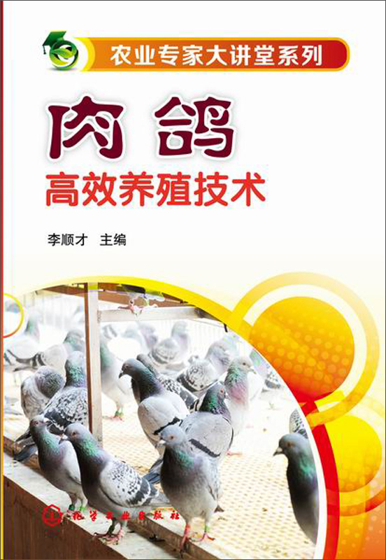 肉鸽高效养殖技术