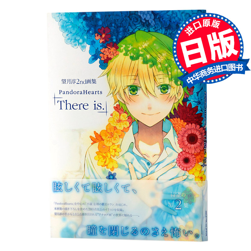 望月淳2nd画集 潘多拉之心 Pandora Hearts There is 日文原版 艺术画集