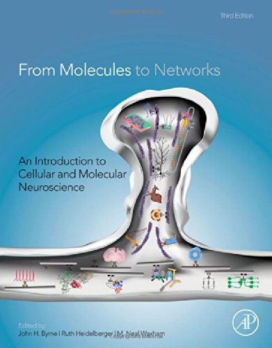 From Molecules to Networks: A