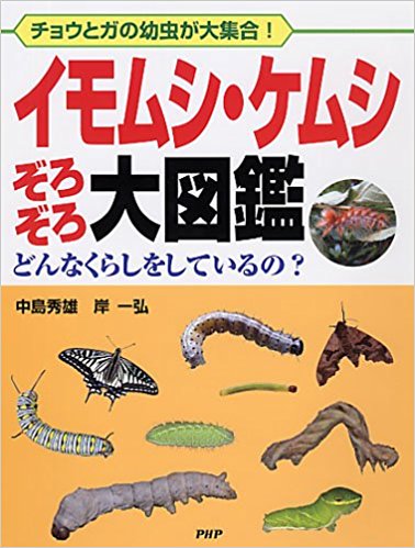 イモムシ?ケムシぞろぞろ大図鑑 チョウとガの幼虫が大集合! どんなくらしをしているの?