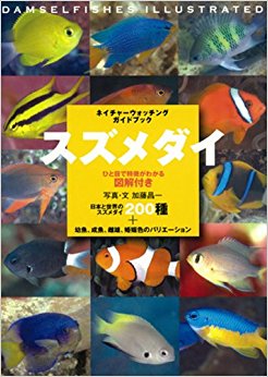 スズメダイ ひと目で特徴がわかる図解付き スズメダイ200種+幼魚、成魚、雌雄、婚姻色のバリエー