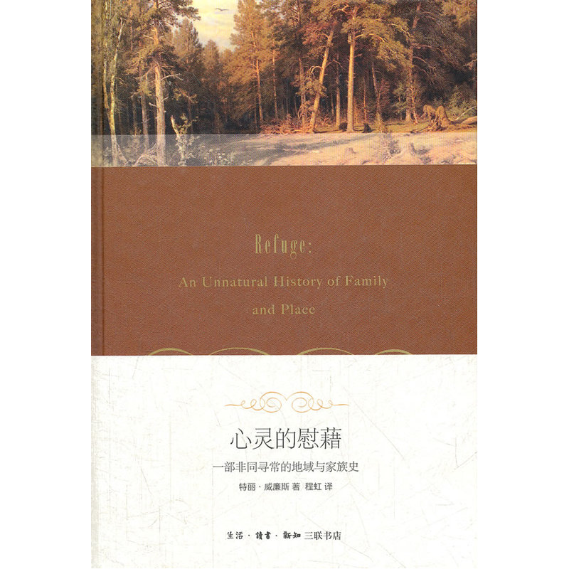 心灵的慰藉-一部非同寻常的地域与家族史