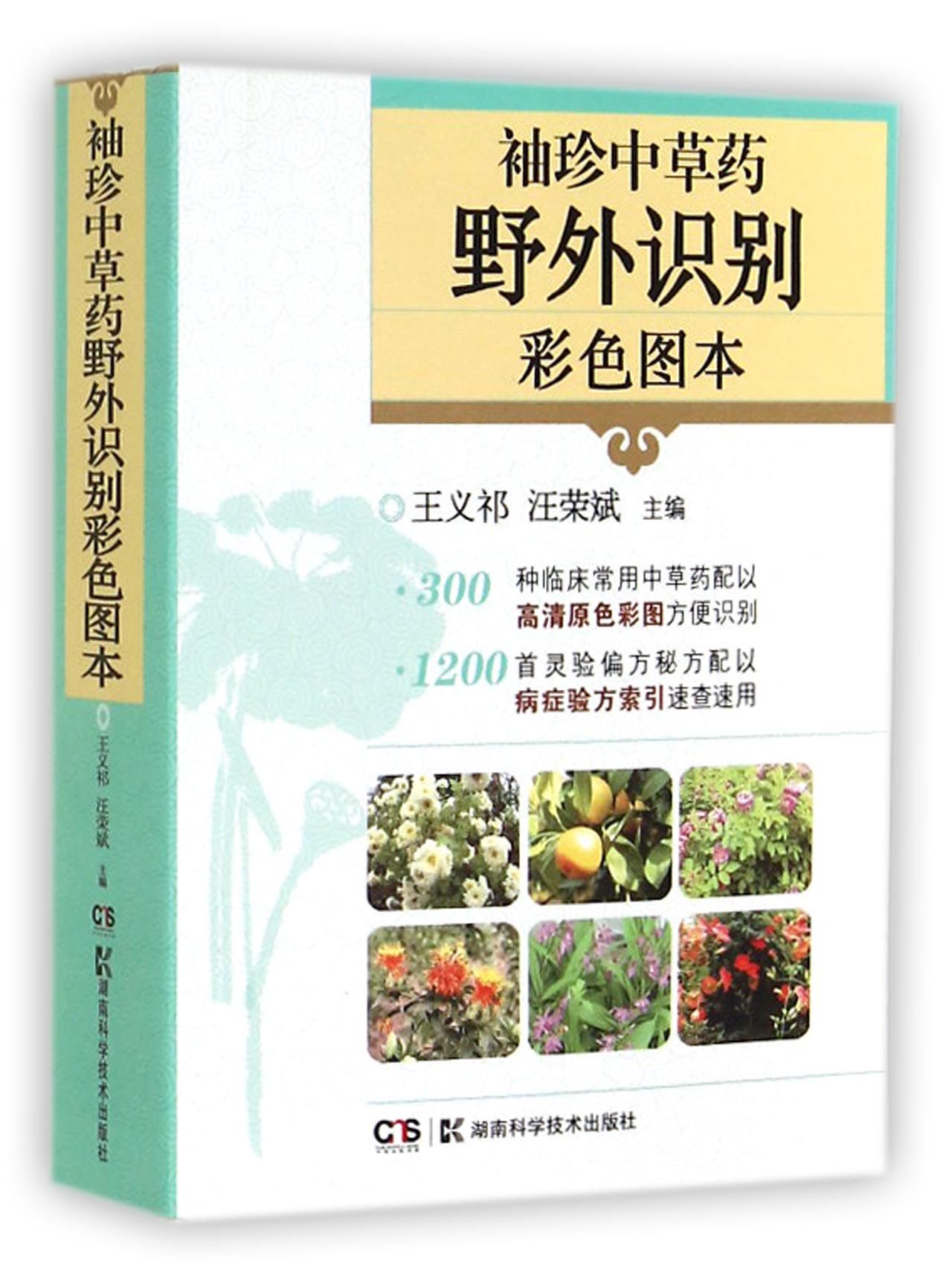 袖珍中草药野外识别彩色图本