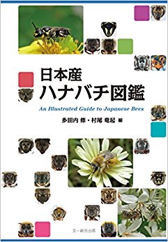 日本産ハナバチ図鑑