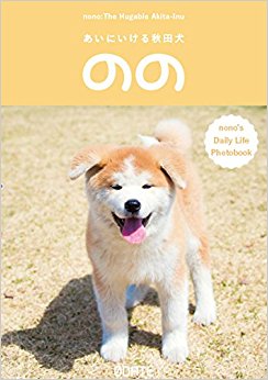 あいにいける秋田犬のの