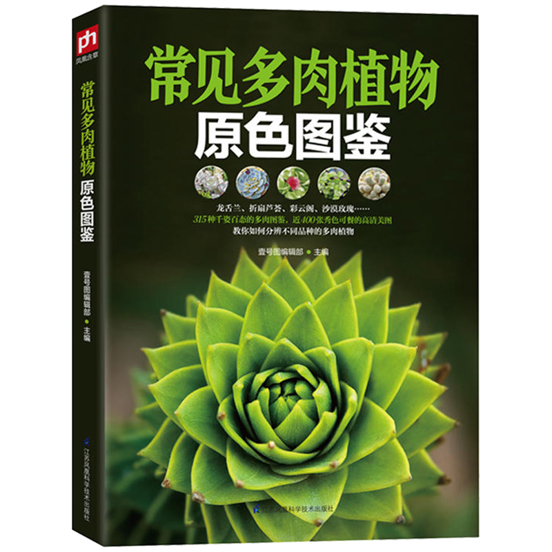 常见多肉植物原色图鉴 家庭花卉花草鉴赏大全 家庭室内办公室花卉盆栽植物养殖花草景观