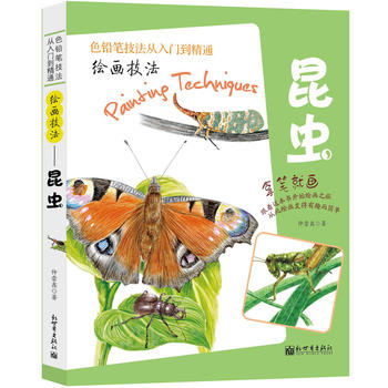 绘画技法 昆虫 湖北
