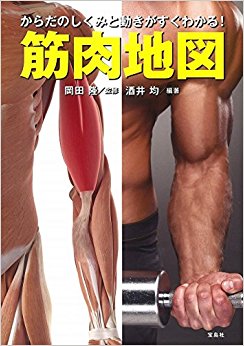 筋肉地図