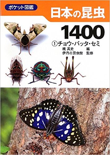 日本の昆虫1400 1