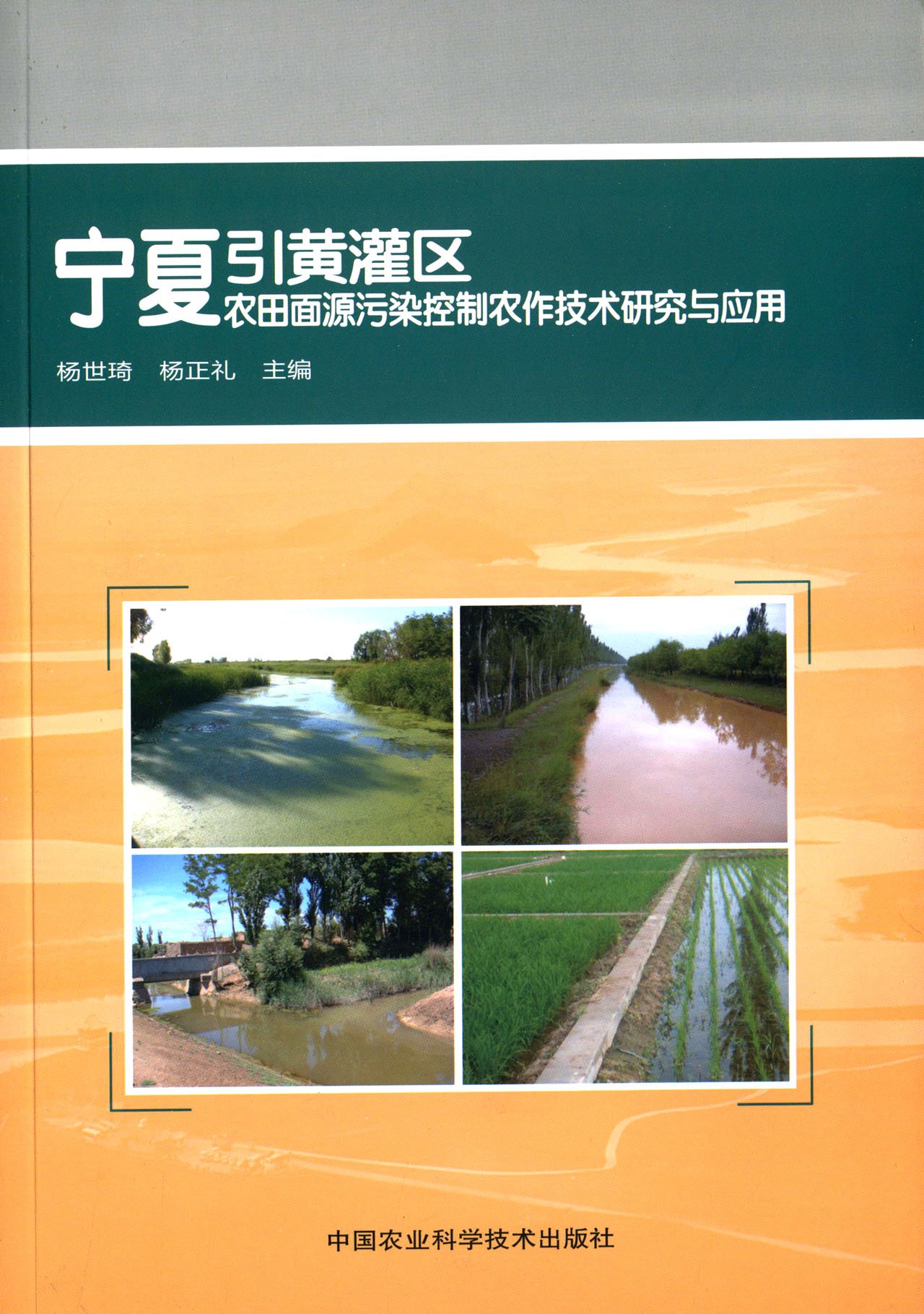 宁夏引黄灌区农田面源污染控制农作技术研究与应用