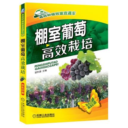 棚室葡萄栽培 大棚温室葡萄树栽培种植技术大全书籍 葡萄常见疾病诊断预防防治治疗书籍