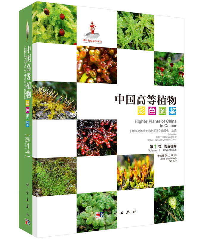 中国高等植物彩色图鉴 第一卷 苔藓植物