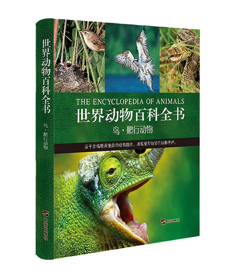 世界动物百科全书：鸟·爬行动物