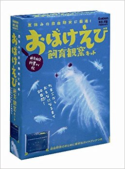 おばけえび 飼育観察キット