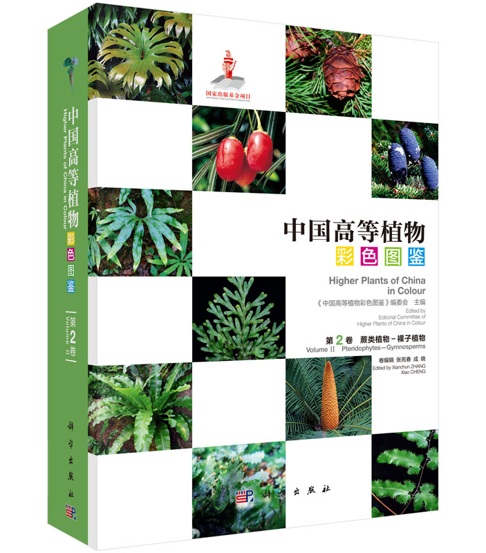 中国高等植物彩色图鉴 第二卷 蕨类植物—裸子植物
