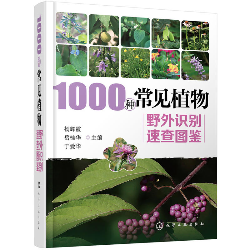 1000种常见植物野外识别速查图鉴 家庭书籍野外植物鉴别图册 中国常见植物手册