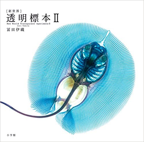 〈新世界〉透明標本 2