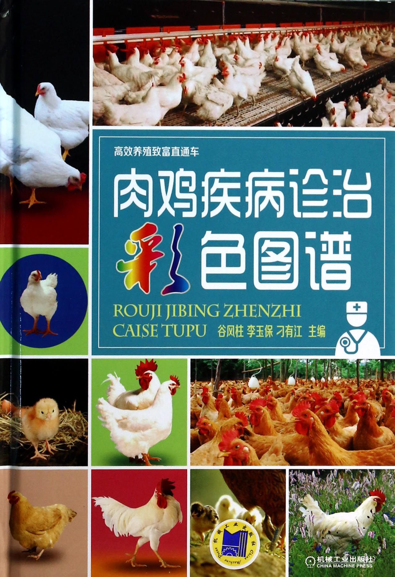 肉鸡疾病诊治彩色图谱(精)/高效养殖致富直通车